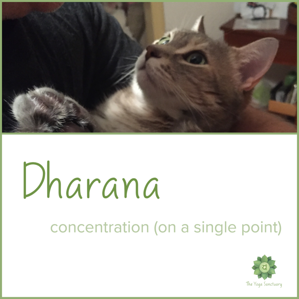 The Yoga Sanctuary | The Sixth Limb of Yoga: Dharana