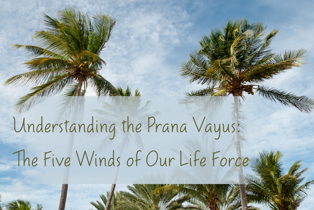 The Yoga Sanctuary | Understanding the Prana Vayus: The Five Winds of ...
